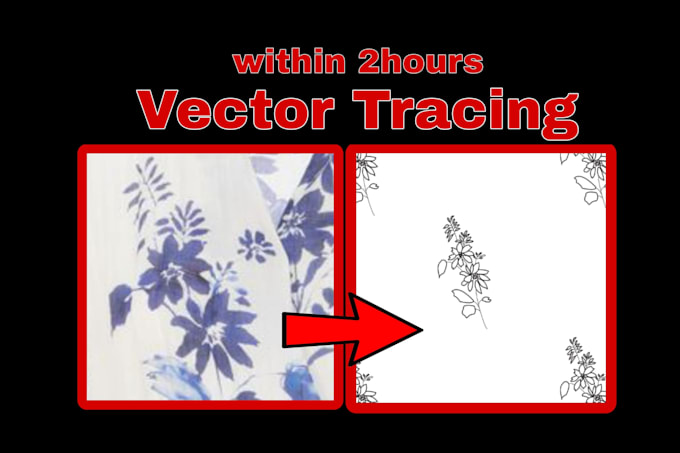 Vector tracing and redraw on illustrator by Faryalnn | Fiverr