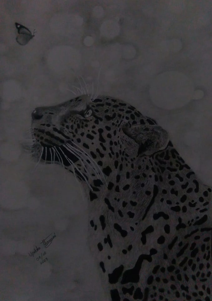 Draw your dreamy arts, pencil drawings and portraits by Upeksha07 | Fiverr