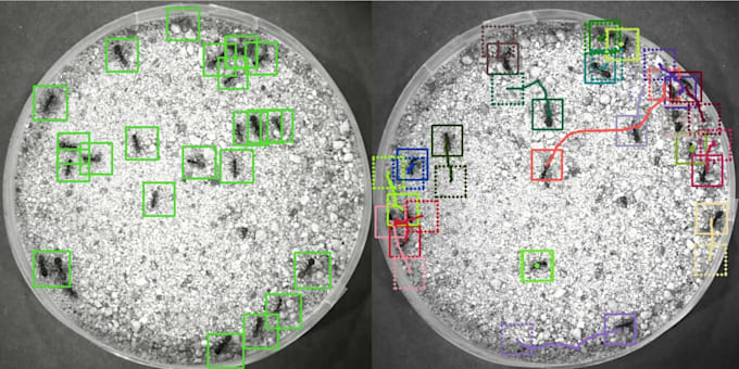 Do machine learning, computer vision, ai chatbot projects by ...