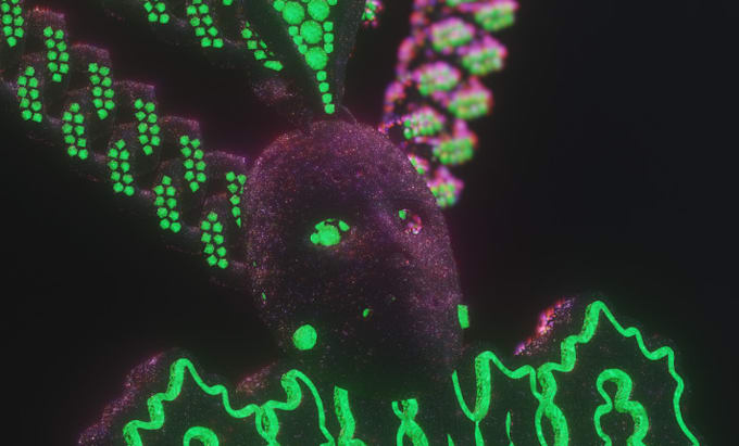 Make custom fivem chain, guns, car, script, map, qbcore, esx, shoes ...