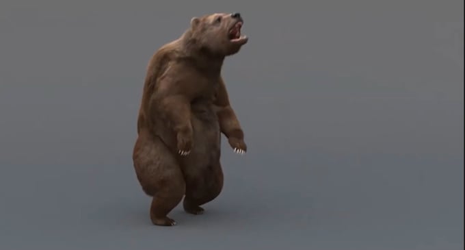 Animate 3d animal animation, 3d model, 3d rigging, animal rigging, vfx ...