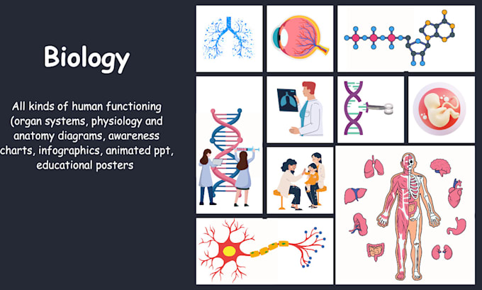 Design science illustrations, visuals, infographics, posters by ...