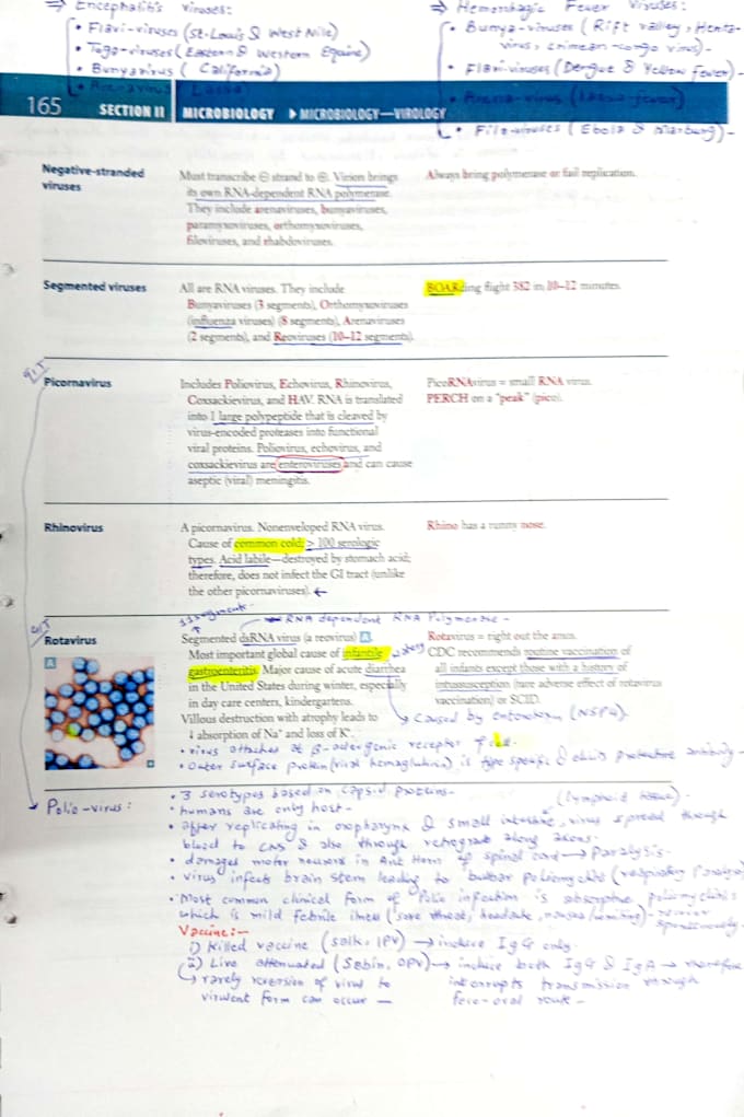 Tutor usmle step 1 and usmle step 2 ck by Sardarbux | Fiverr