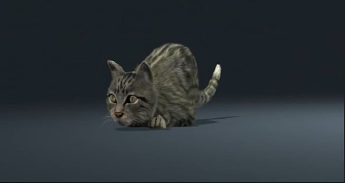 Create 3d cat animation, 3d cat design, 3d character design, 3d animal ...
