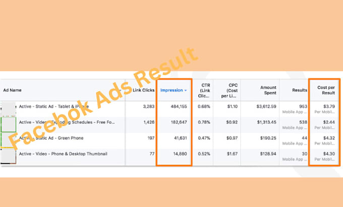Setup and manage facebook ads campaign, fb and ig advertising by ...