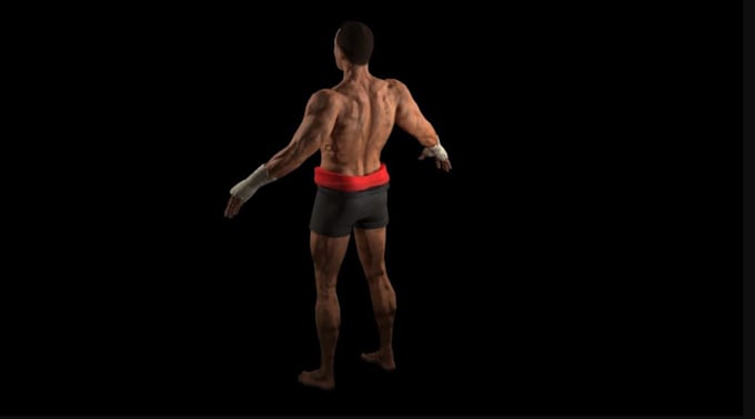 Daz3d stylized character,3d topology,pbr 3d model 3d wireframe ,rigged ...