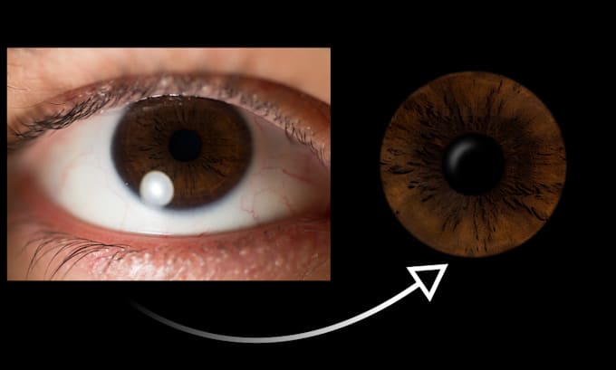 Create stunning custom iris art from your eye photo by Neokira13 | Fiverr