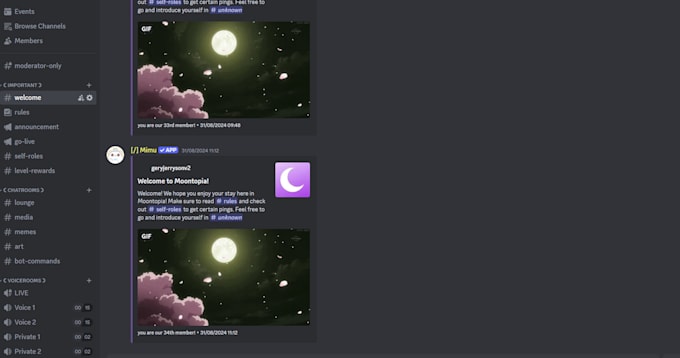 Create a custom discord server for you by Manaportal | Fiverr