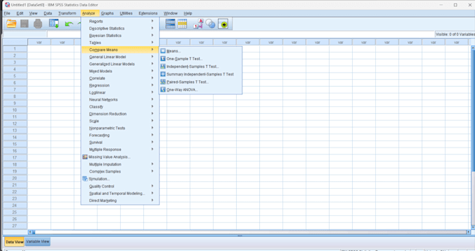Spss nicel veri analizi by Rasimp | Fiverr