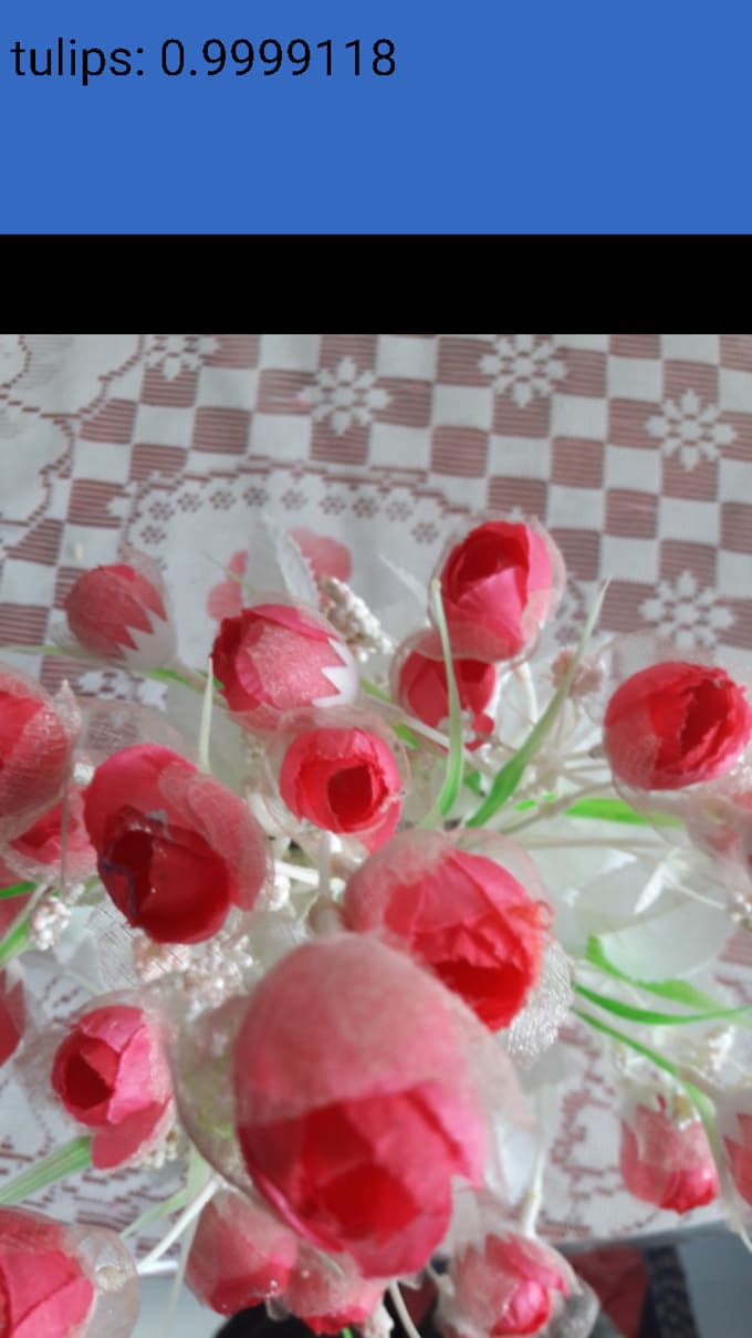 Create Image Classification Android App And Train Custom Model Using