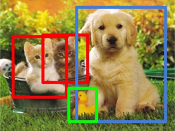 Develop And Deploy Neural Networks For Image Classification And Object Detection By Hassanml