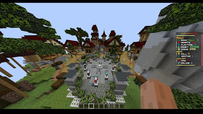 Create a professional lifesteal minecraft server by Tech_gupta | Fiverr