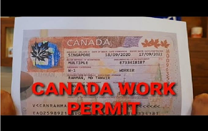 Secure a work permit visa, c11 and lmia business plan by Shrek_max1 ...