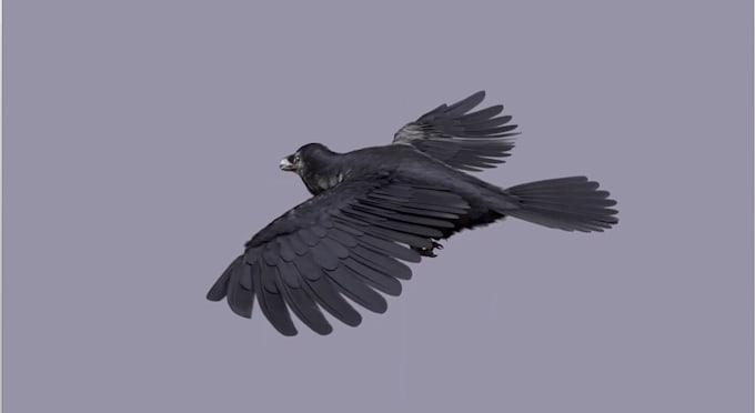 Create awesome 3d animal animation, 3d animal rigging, 3d animal cgi ...