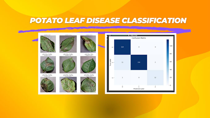 Build custom ai models for image classification and categorization by Toleegfx | Fiverr