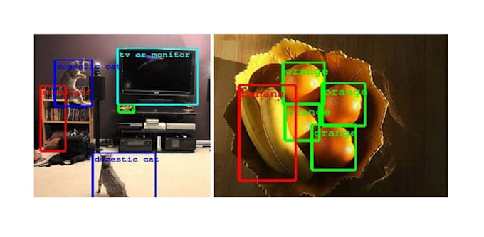 Do image classification, recognition, and object detection by Charlieng12 | Fiverr