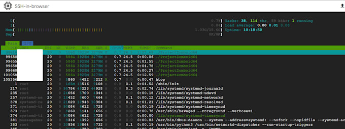 Setup a project zomboid dedicated server by Suppish13 | Fiverr