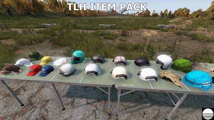 Setup full custom dayz server for lan, dayz map creation, 3d asset ...