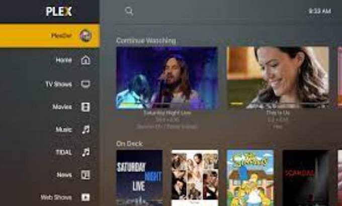 Professionally setup plex media server, radarr, sonarr, emby, jellyfin ...