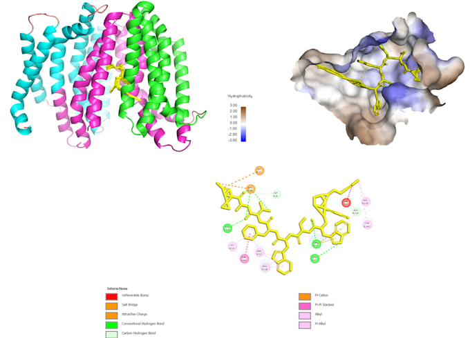 Help you in computer aided drug design and discovery by Hanzalasonu ...