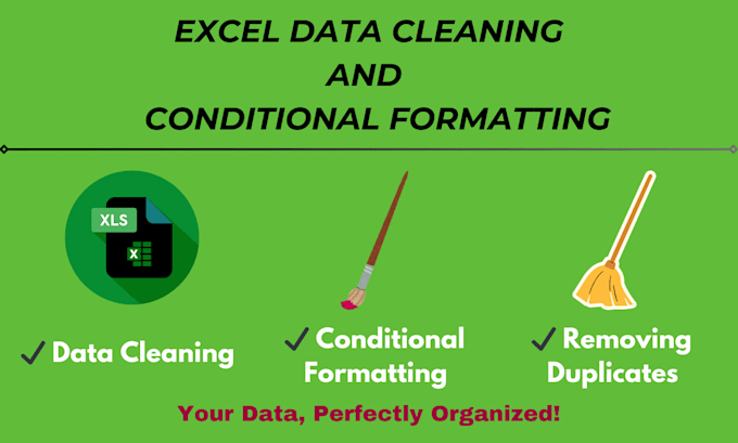 Professionally clean, format, and organize your excel data by ...