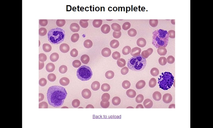 Develop And Deploy A Classification And Detection Models By Maaz000 Fiverr