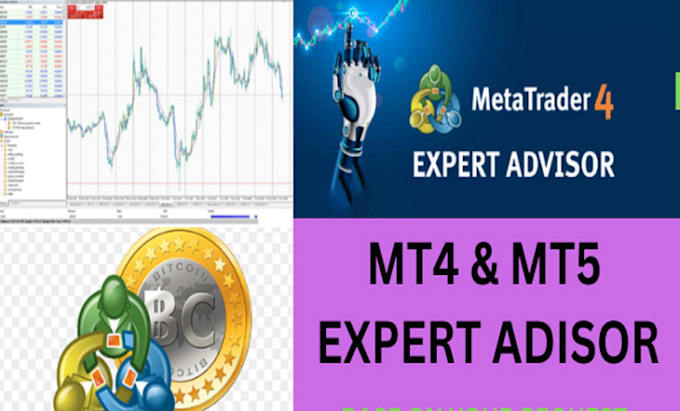 Code custom algorithmic trading strategies for metatrader, ctrader, ninjatrader by Timmydavid01 ...