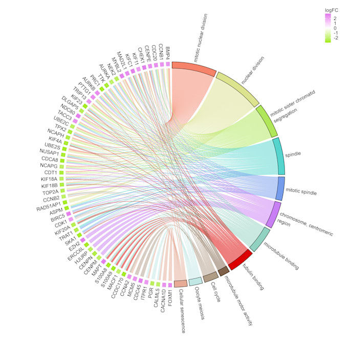 Do bioinformatics analysis based on tcga geo by Kitwers | Fiverr