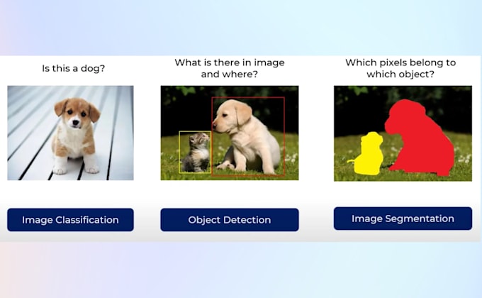 Build Object Detection Classification And Segmentation App With Yolo
