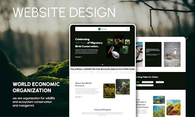 Create responsive wordpress website design and development by Increase_art510 | Fiverr
