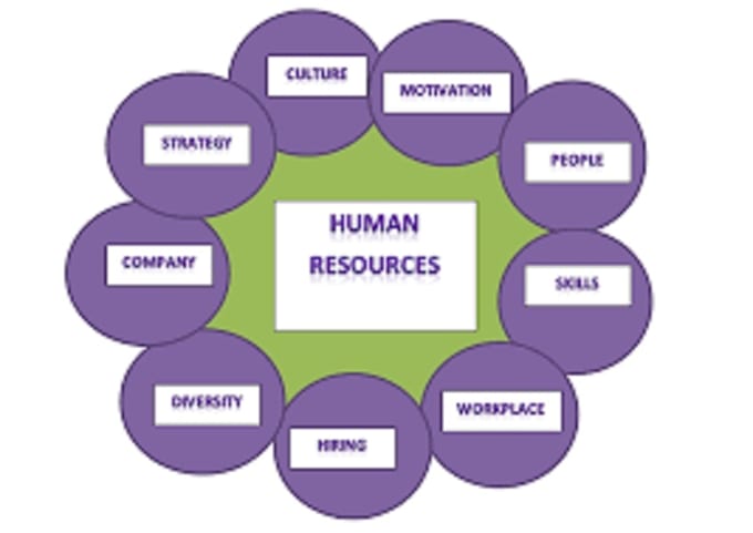 Provide professional hr consultancy services by Mitchygee | Fiverr
