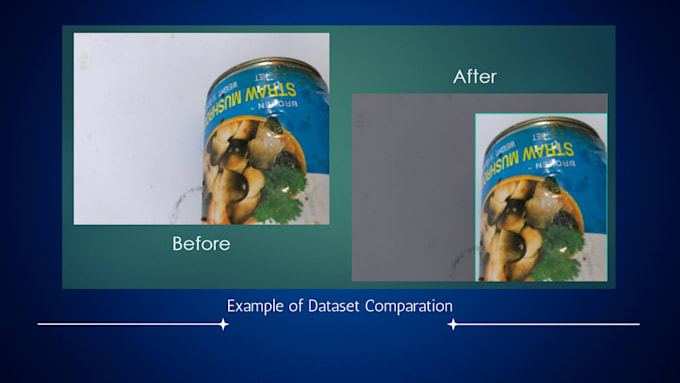 Do data and image annotation, labeling for object detection by Rafaelandis | Fiverr