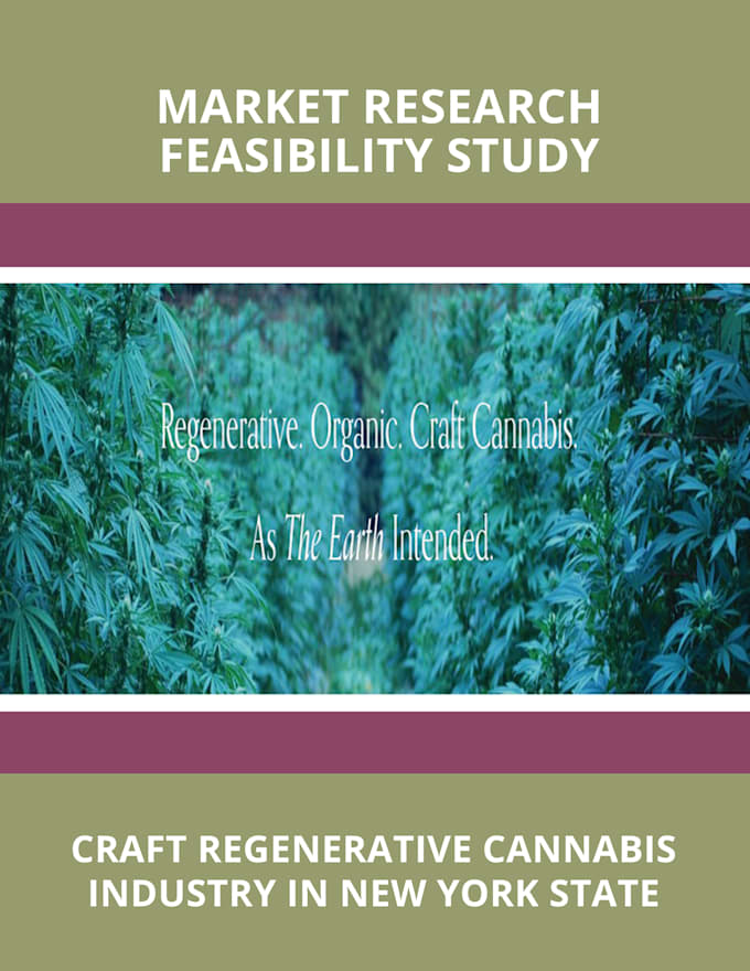 Create a market research feasibility study by Spirtex | Fiverr