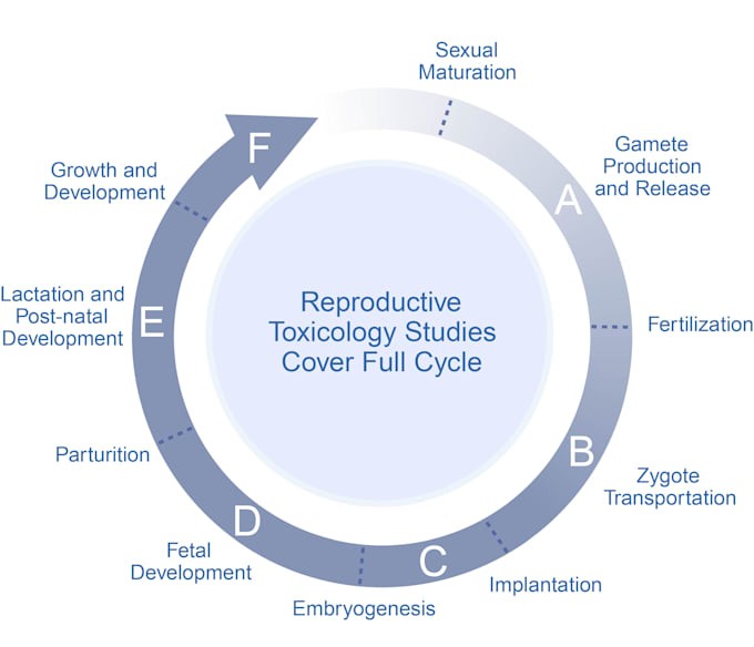 Create professional graphical abstracts and scientific model diagrams ...