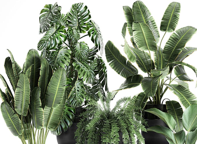 3d virtual plant model, house and garden plants, funghi, trees, meadow ...