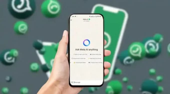 Setup whatsapp business api, whatsapp chatbot, whatsapp ai chatbot, fix ...