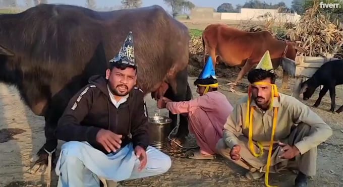 Funny happy birthday video funny happy birthday video by Umarr_24 | Fiverr