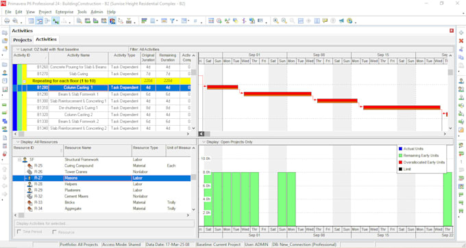 Create detailed project schedules using primavera p6 or ms project by ...