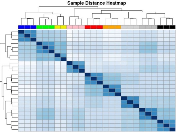Analyze your genomic or rnaseq data using python and r by Boulaimen ...