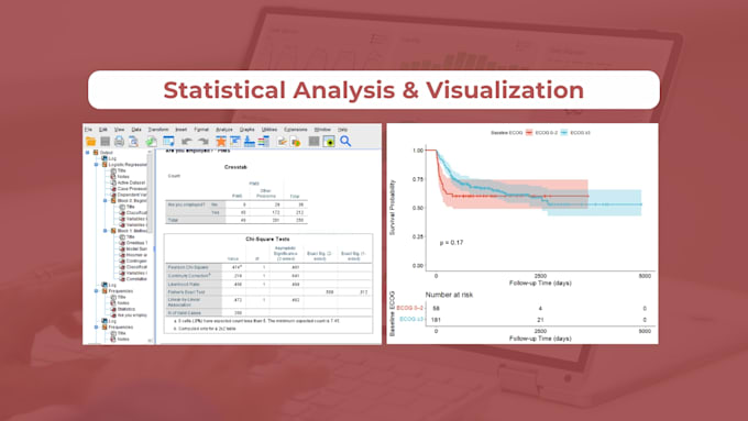 Do statistical data analysis in spss, r, stata, minitab and excel by ...