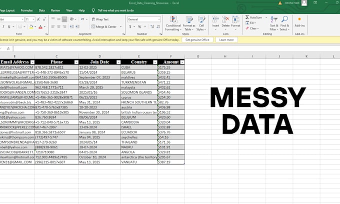 Clean, organize, and format your excel data professionally by Nabeela ...