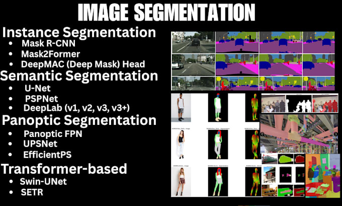 Provide instance semantic and panoptic segmentation solutions by Hamzaibrar001 | Fiverr