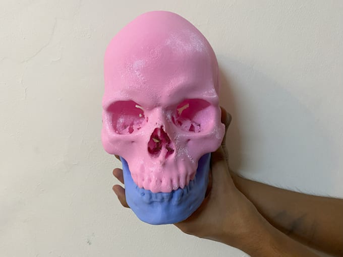 Provide 3d printed skulls and other body parts from mri data by ...