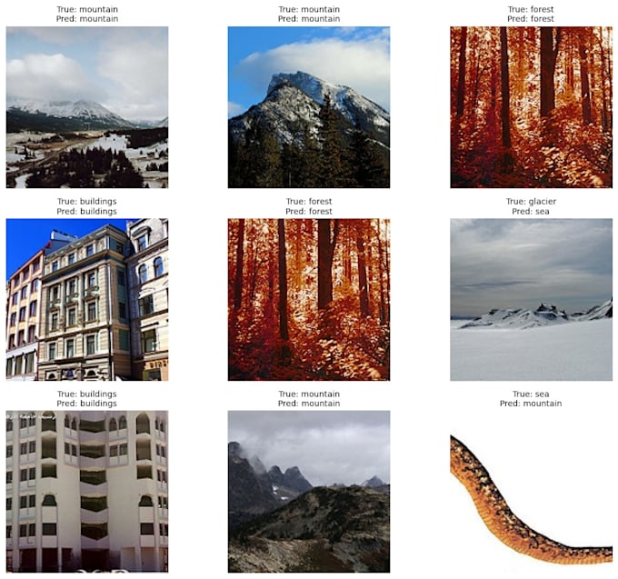 Build image classification model by Ahmed_magdy747 | Fiverr