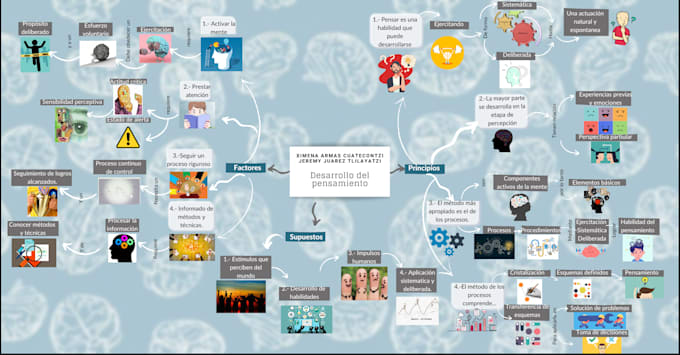 Create engaging infographics, diagrams, and educational visuals by ...