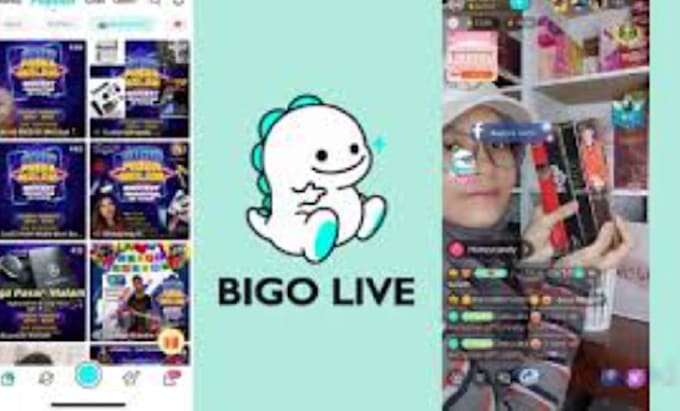 Build a tiktok live clone, bigo live clone, live streaming app by Smith_drey89 | Fiverr