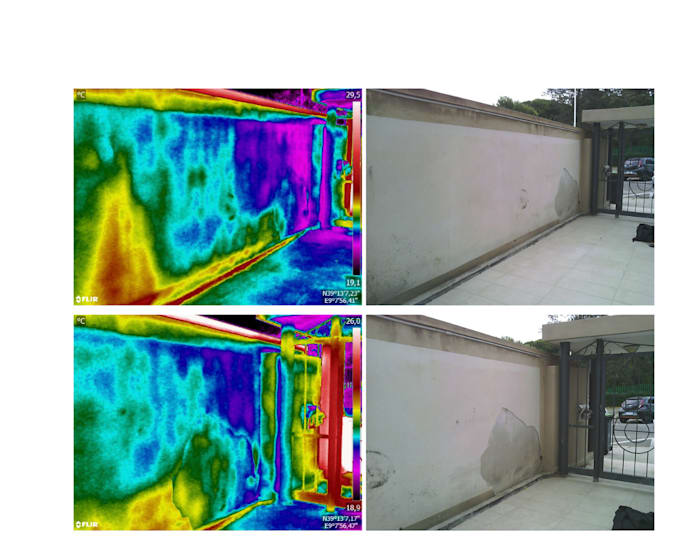 Analyze your infrared thermal imaging and write pro report by Enetime ...
