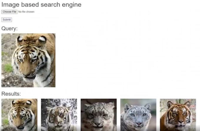 Build custom computer vision models using yolo, opencv, or pytorch by Maaitrayodas | Fiverr
