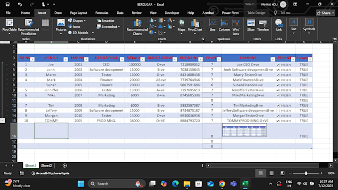 Clean,merge, format, split,anayse,visualise excel data by Charts_master | Fiverr