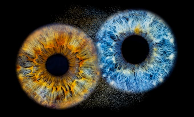 Create a stunning iris fusion art from your eyes for couples and ...